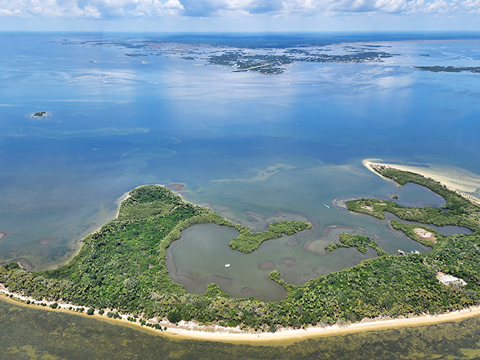 Cedar Key from above looks like nature's watercolor palette &ndash; emerald islands dotted across azure waters, far from Florida's tourist crowds.