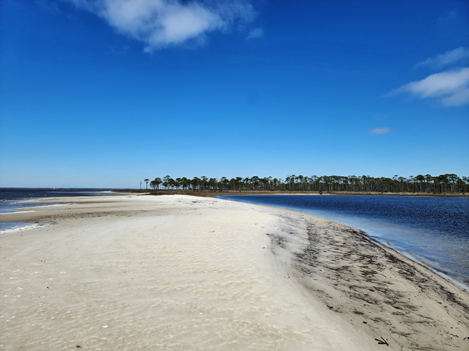 Where land meets water meets sky—this pristine sandbar at St. George Island State Park offers the Florida coastline as nature intended it.