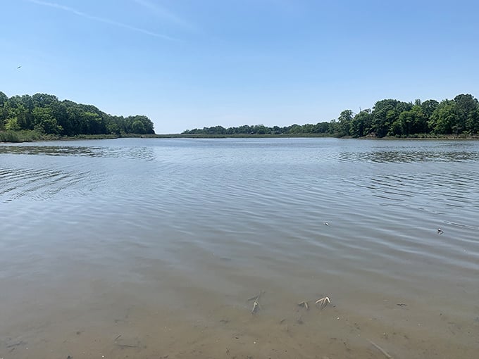 Nature's perfect seating arrangement &ndash; two Adirondack chairs overlooking the Chesapeake's shimmering waters, like front-row tickets to the best show in Maryland.