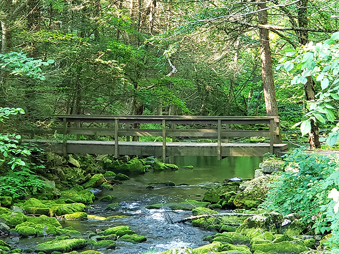 Nature's own infinity pool! This cascading waterfall at Ravensburg creates the perfect soundtrack for your forest meditation &ndash; Walden Pond with Pennsylvania attitude.