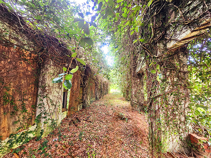 The rusted skeleton of Ellaville's old bridge stands like a time portal, inviting brave explorers to cross into Florida's forgotten past. 
