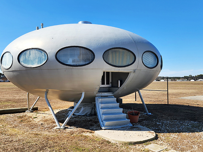 The ultimate tiny home for aspiring astronauts! This Futuro House in Milton looks ready for liftoff with its distinctive flying saucer shape and oval portholes.