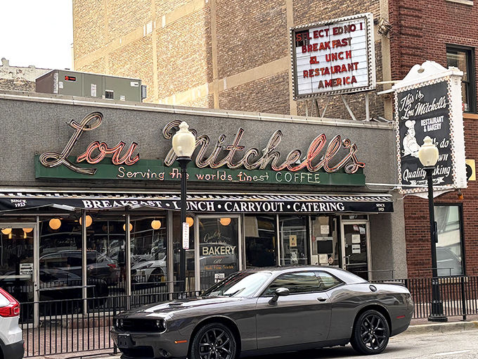 The neon sign at Lou Mitchell's doesn't just glow&mdash;it beckons like an old friend promising comfort in the form of perfectly scrambled eggs and bottomless coffee.