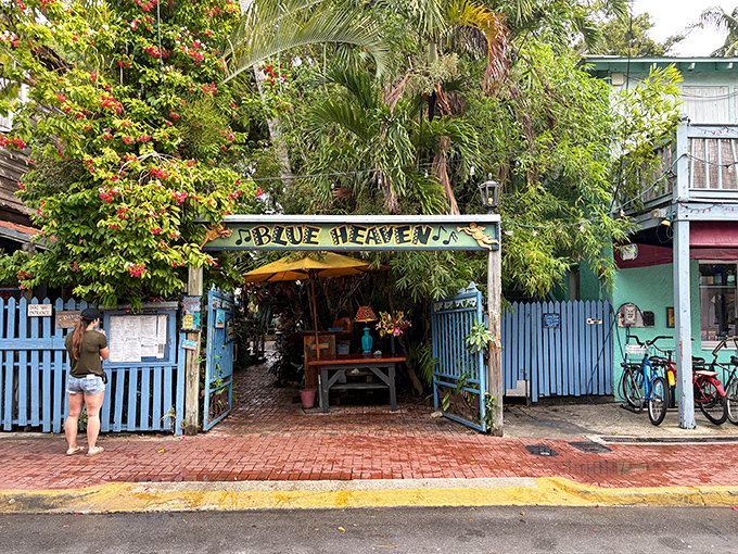 That hand-painted Blue Heaven sign nestled among tropical foliage promises the kind of breakfast adventure your taste buds have been dreaming about.