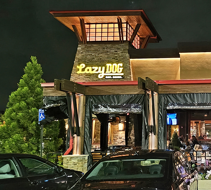 The mountain lodge meets suburban Virginia in this welcoming facade. That glowing "Lazy Dog" sign promises comfort food adventures await inside.
