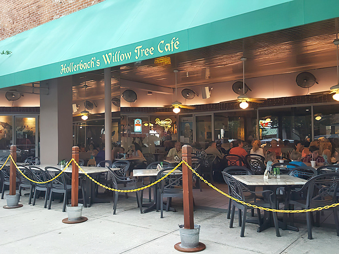 The turquoise awning of Hollerbach's Willow Tree Café beckons like a Bavarian oasis in downtown Sanford, where outdoor tables promise cold beer and warm conversation.