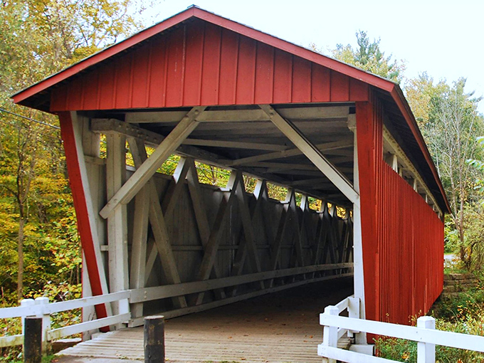 Mother Nature's perfect frame for this crimson beauty. The morning mist adds that touch of mystery, like the opening scene of a Spielberg film.