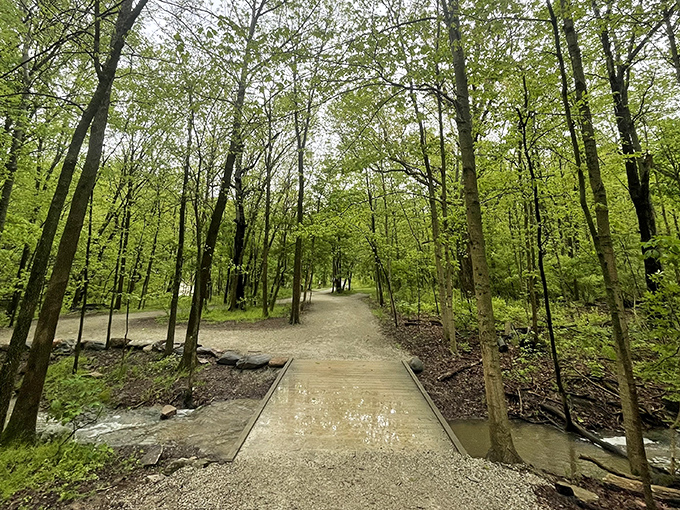 Nature's perfect mirror show at the pond entrance, where every tree gets to admire its reflection while visitors pause on the wooden observation deck.