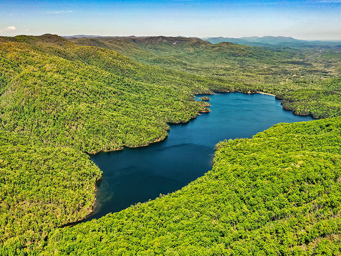 Nature's masterpiece on full display &ndash; this aerial view of the pristine lake surrounded by endless green forest looks like Mother Nature showing off her best work.