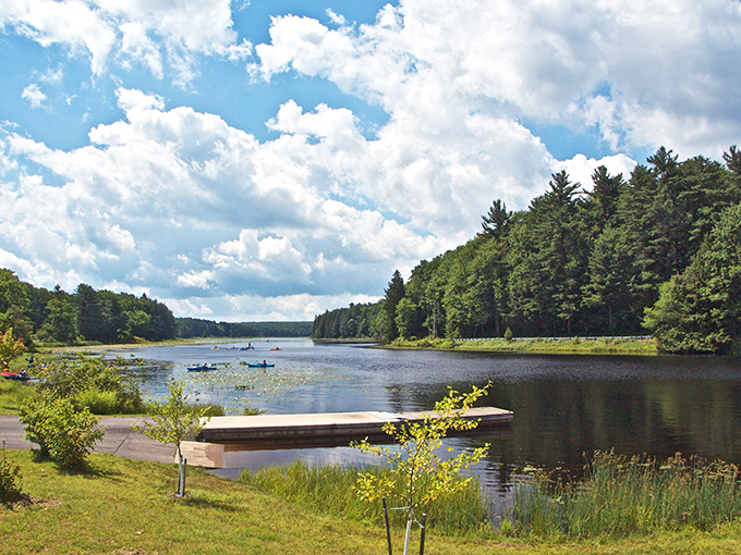 Nature's boardwalk beckons through the wetlands, where every step feels like you're walking through the pages of a National Geographic spread.