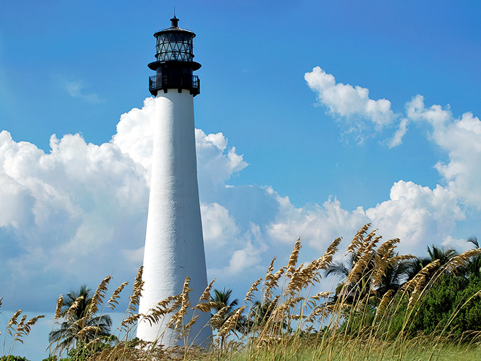 Like a pristine white exclamation point against Florida's azure sky, Cape Florida Lighthouse stands tall, surrounded by swaying sea oats and whispering palms.
