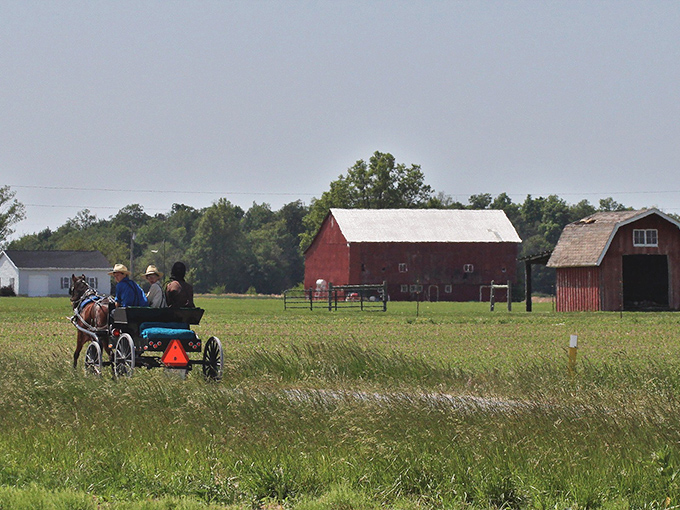 Where time travels by horse and buggy. The peaceful Amish countryside around Berne offers a glimpse into a simpler way of life.