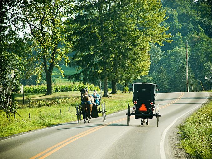 Where time slows down to horse-and-buggy speed. This iconic scene captures the essence of Amish Country's rolling hills and simpler pace of life.