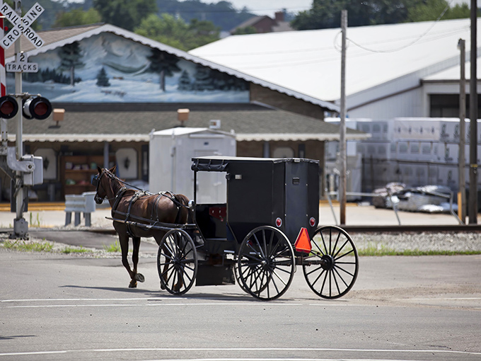 Horse-drawn buggies share the road with modern cars, creating a delightful time-travel experience on every street corner.