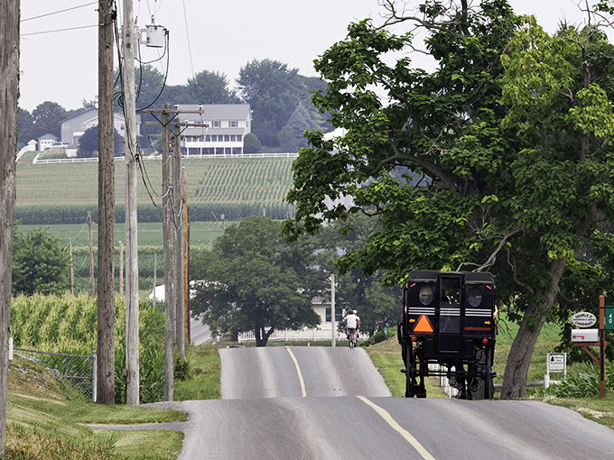 The quintessential Amish experience: horse-drawn buggies sharing the road with modern vehicles, creating a time-travel traffic jam that somehow works perfectly.