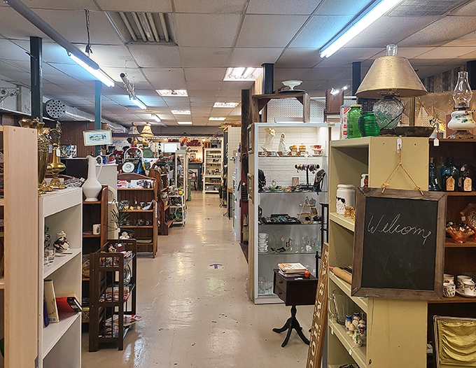 Every aisle tells a story at Rare Birds Antiques, where the checkerboard floor leads you through decades of American memories waiting to be rediscovered.