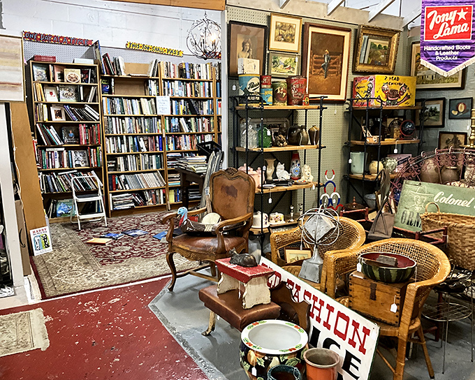 Books and treasures coexist in perfect harmony here, like a library where everything's for sale and nostalgia comes complimentary.