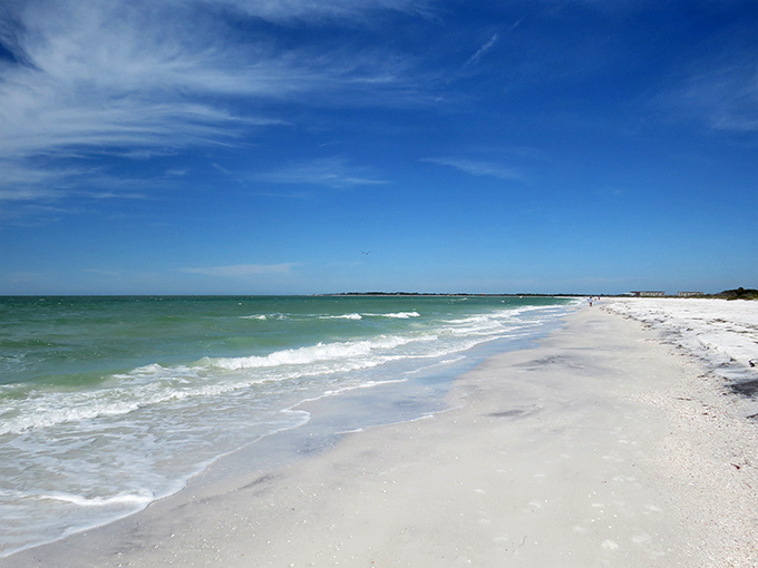 Paradise doesn't need a passport! Caladesi's pristine shoreline stretches for miles, offering the kind of untouched beauty that makes smartphone cameras work overtime.