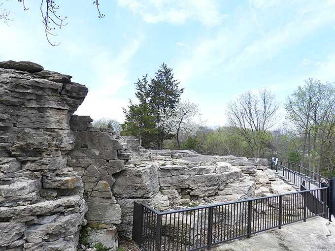 Nature's own prehistoric art gallery - deep parallel grooves carved by massive glaciers that once bulldozed through Ohio with unstoppable force.