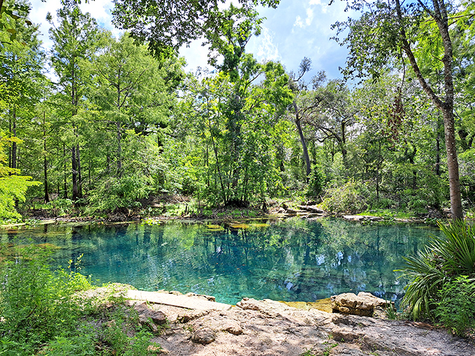 Nature's own infinity pool, where crystal-clear water meets ancient limestone in perfect harmony.