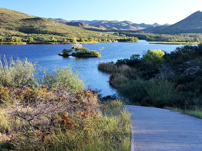 Nature's magic trick: a shimmering blue oasis nestled among desert hills. Arizona's best-kept secret sparkles like a sapphire dropped among the mesquite.