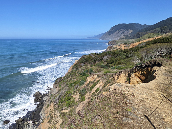 Where the mountains dive dramatically into the sea, Sinkyone's coastline offers the kind of untamed beauty that makes smartphone cameras weep with inadequacy.