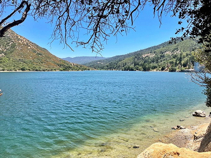 Mirror-perfect reflections at the park's lake create nature's own Instagram filter. Those little boat houses look like they're playing hide-and-seek with their own shadows.