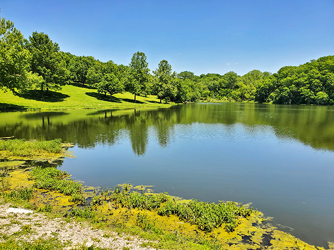 Mirror, mirror on the lake &ndash; Wallace State Park's pristine waters create perfect reflections that would make even Narcissus do a double-take.