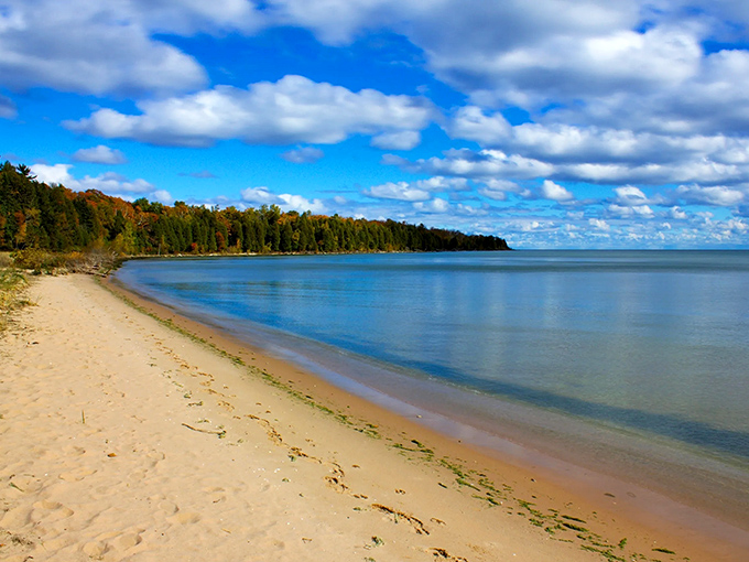 Where pristine shoreline meets untouched forest&mdash;Newport's sandy beaches offer the rare luxury of solitude along Lake Michigan's crystal waters.