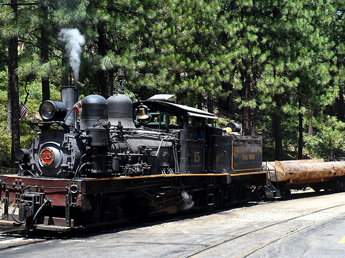 Iron beast awakens! The historic Shay locomotive roars to life, billowing steam clouds that dance through towering pines like ghostly time travelers. 