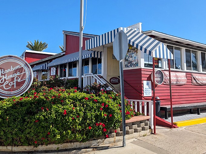 The iconic red exterior of Harbor House Cafe stands out like a beacon of comfort food hope along PCH, complete with those classic blue and white striped awnings.