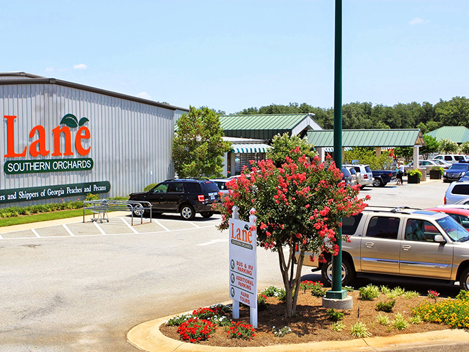 The welcoming facade of Lane Southern Orchards stands ready to introduce you to Georgia's sweetest treasures. White rocking chairs await tired shoppers.