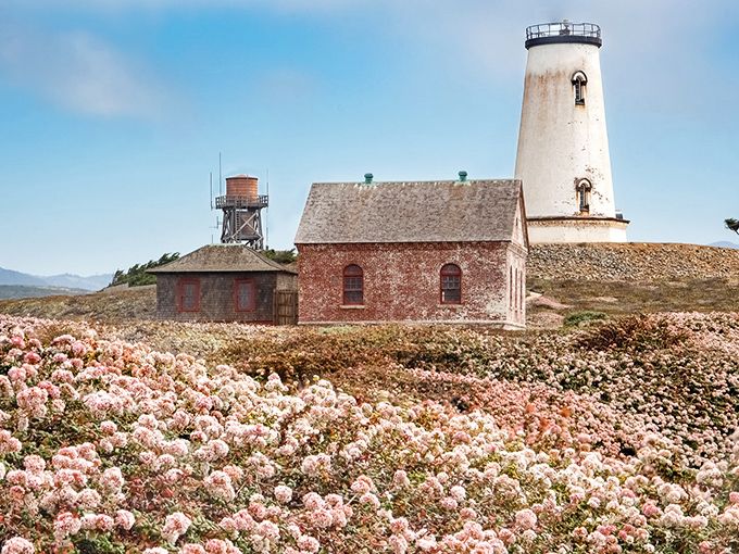 Spring transforms this working lighthouse into a painter's dream, with wildflowers stealing the show from the architecture.