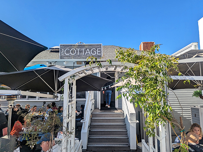 The quintessential California welcome! The Cottage's charming entrance, with its white trellis and climbing greenery, promises a breakfast experience worth writing home about.