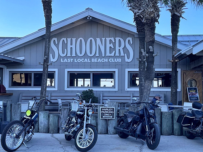 Schooners proudly announces itself as the "Last Local Beach Club," where palm trees stand guard and outdoor seating beckons with the promise of Gulf breezes.