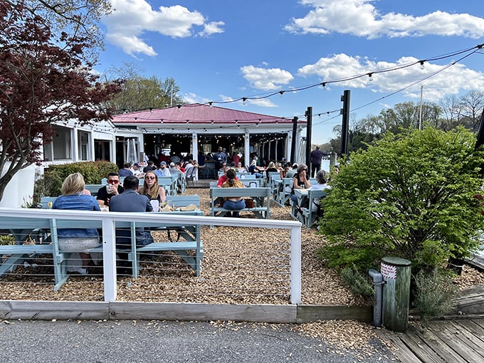 The waterfront patio at The Point offers that rare dining trifecta: fresh air, boat views, and the promise of seafood that was swimming this morning.