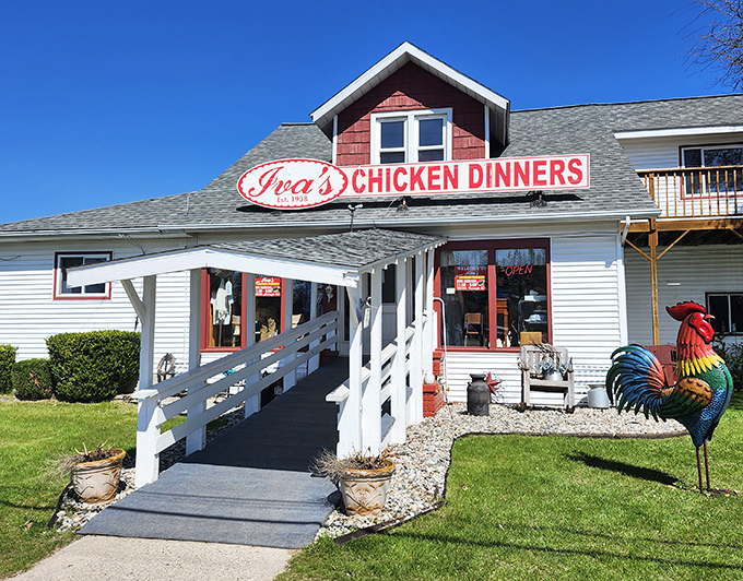 The red-topped white building with its colorful rooster sentinel practically screams "comfort food lives here!" A Michigan pilgrimage site disguised as a humble restaurant.