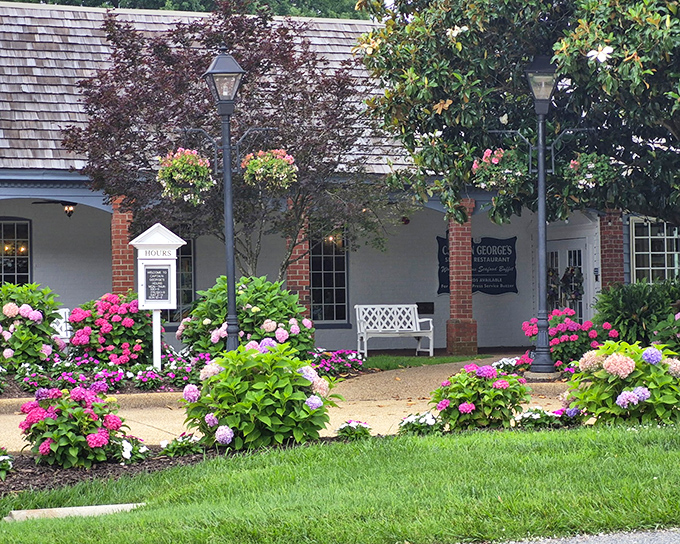 Colonial charm meets seafood paradise. Captain George's exterior welcomes you with vibrant hydrangeas and classic architecture that whispers, "Come hungry, leave happy."