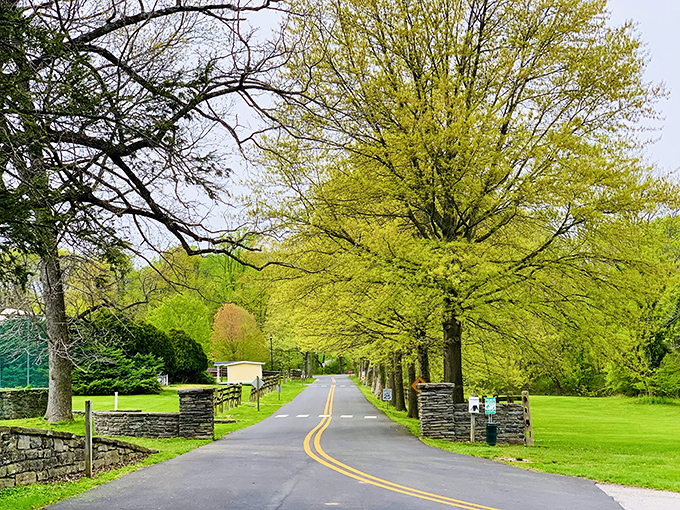Nature's own autumn masterpiece unfolds at Bellevue State Park, where the trees dress in their Sunday best and the pond serves as their mirror.