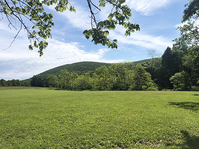 Nature's perfect canvas unfolds at Blue Knob State Park, where rolling meadows meet forest-covered mountains under Pennsylvania's endless sky.