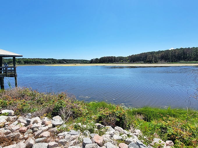 Nature's infinity pool! The still waters of Huntington Beach State Park mirror the sky, creating a double dose of Carolina blue perfection.