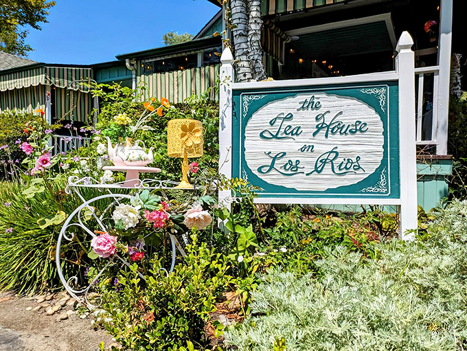 A cottage straight from a storybook, complete with birch trees, blooming flowers, and a porch that practically begs you to sit and stay awhile.