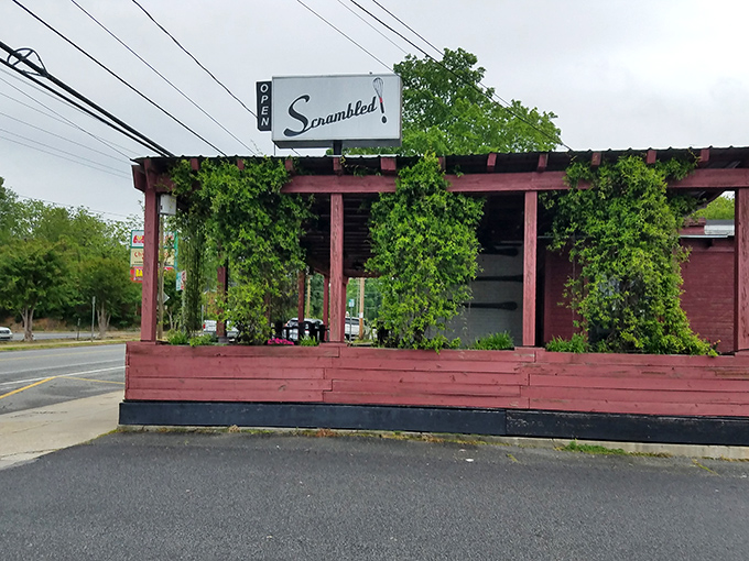 The vine-draped exterior of Scrambled looks like Mother Nature herself is trying to get in for breakfast. Classic Southern charm with a side of greenery.