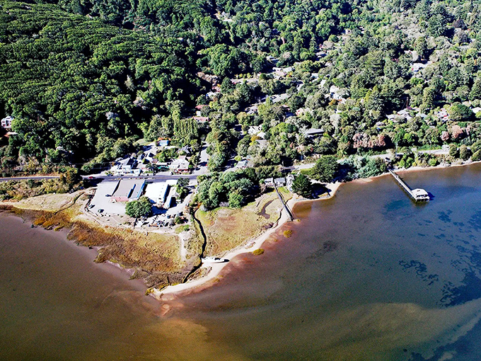 The historic buildings of Inverness stand like sentinels of simpler times, where your wallet can finally breathe a sigh of relief.