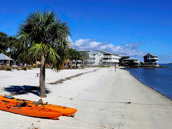 Paradise found: A pristine stretch of white sand beach meets the turquoise Gulf waters, with bright orange kayaks waiting for their next adventure.