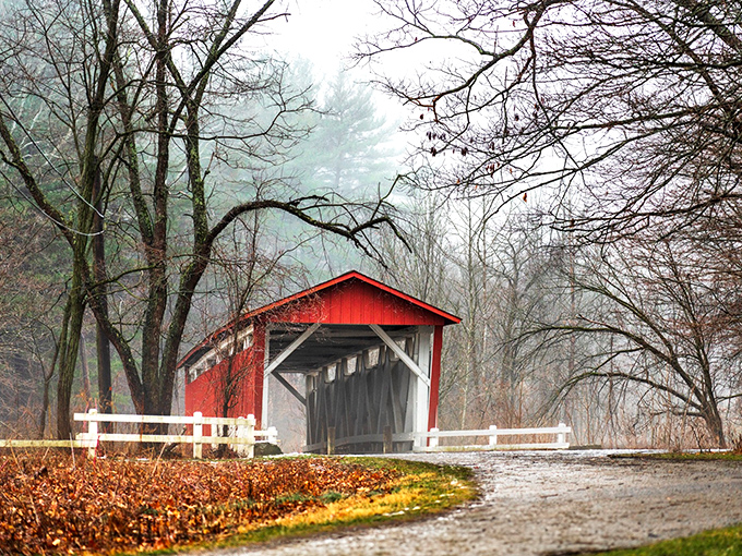 Mother Nature's perfect frame for this crimson beauty. The morning mist adds that touch of mystery, like the opening scene of a Spielberg film.
