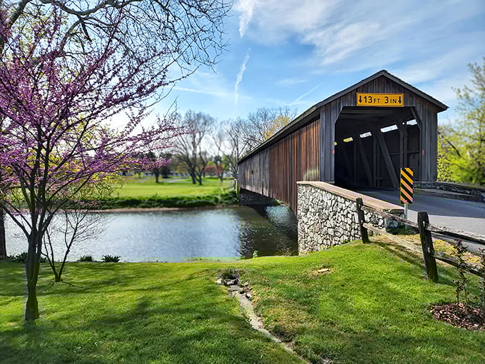 Time stands still at Hunsecker's Mill Covered Bridge, where spring blossoms frame this 180-foot wooden marvel spanning the Conestoga River like a postcard come to life.