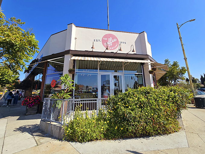 The corner spot that launched a thousand breakfast dreams. The Coffee Company's welcoming exterior promises culinary comfort without pretension.