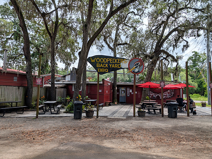 The bright red exterior of Woodpeckers Backyard BBQ stands out like a beacon of hope for hungry travelers under St. Augustine's majestic oak trees.
