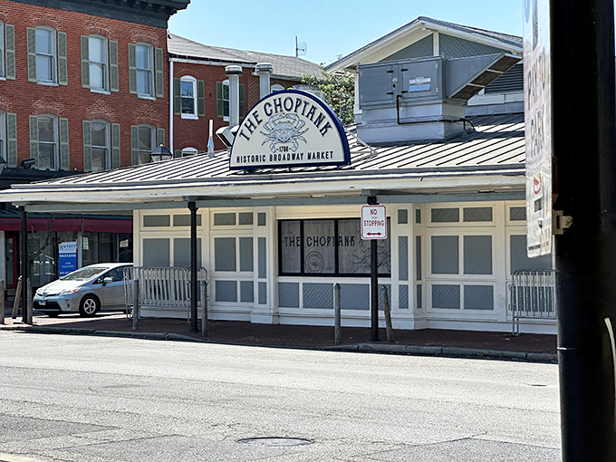 The gateway to seafood paradise! This iconic arch welcomes hungry visitors to The Choptank, where Baltimore's maritime heritage meets modern culinary craftsmanship.